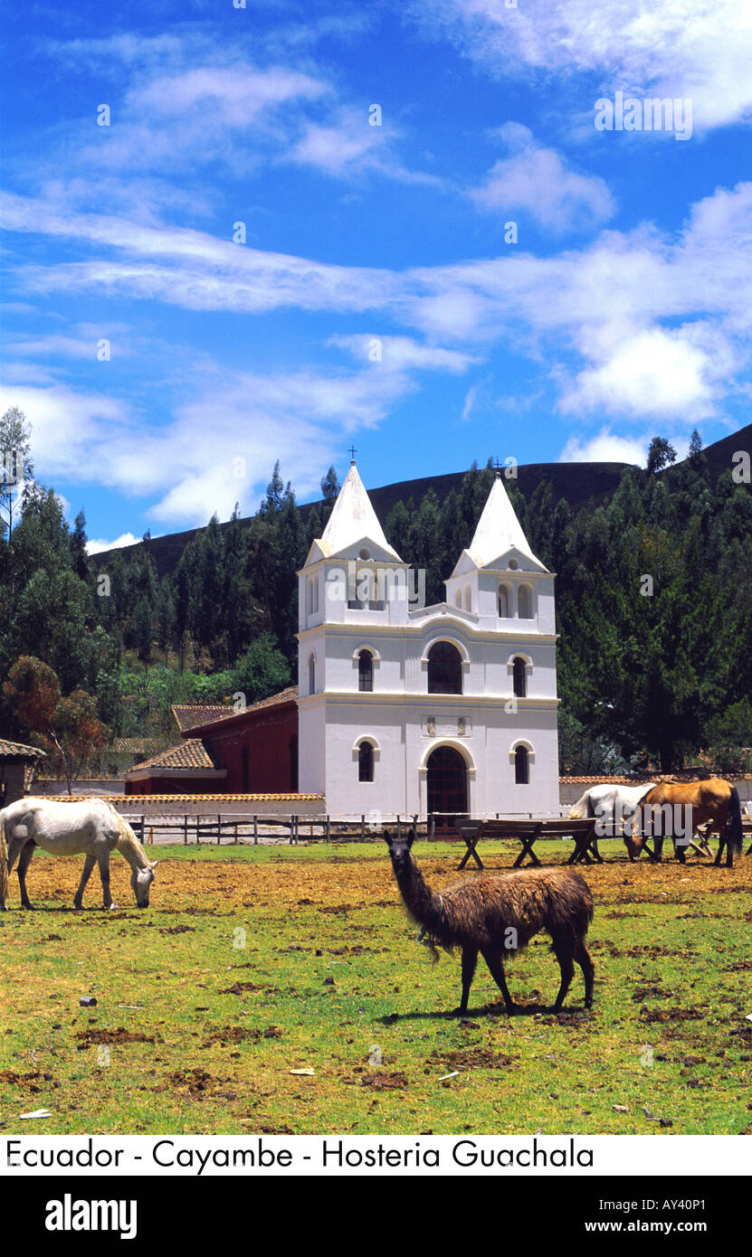 Guachala hi-res stock photography and images - Alamy