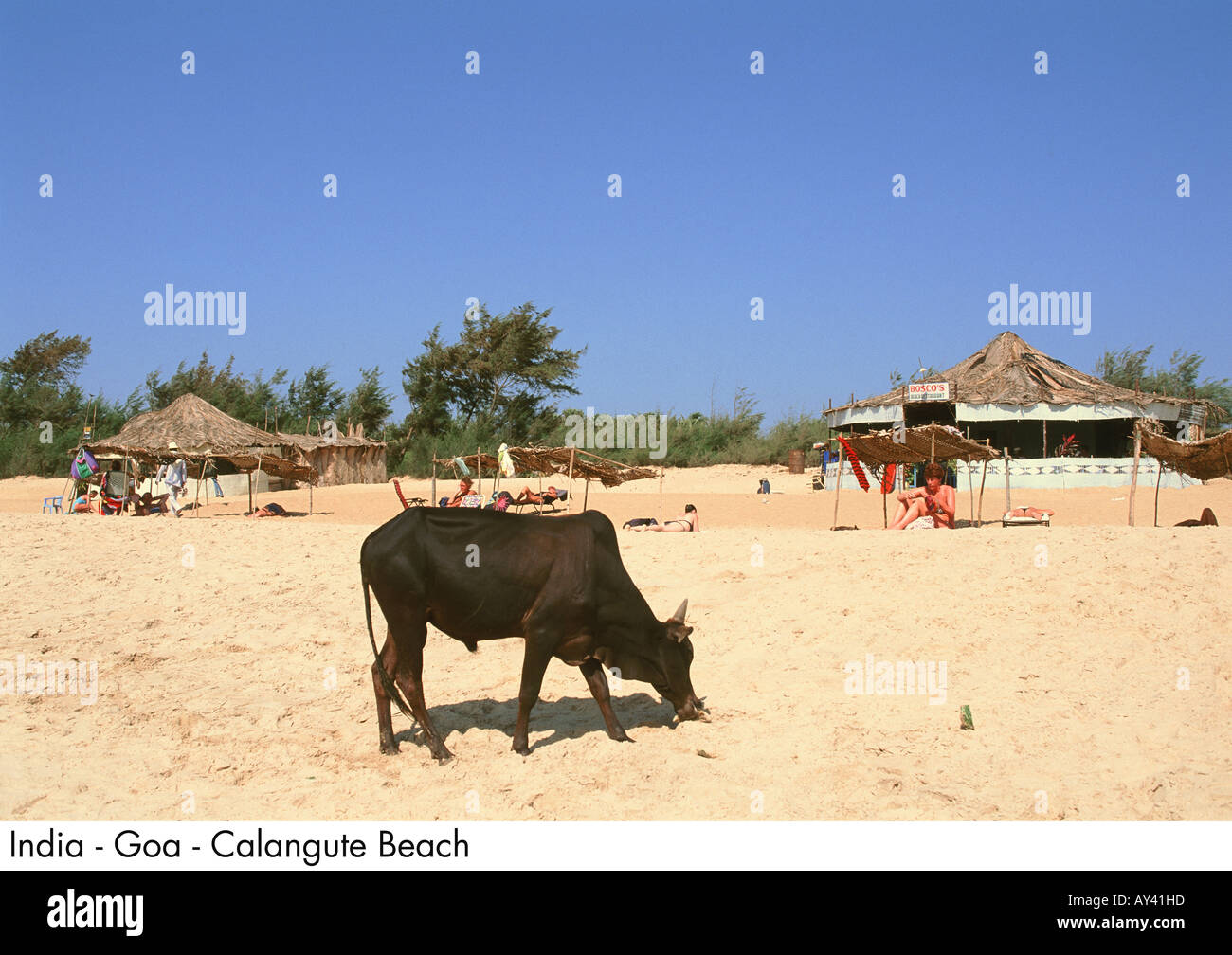 India Goa Calangute Beach Stock Photo - Alamy