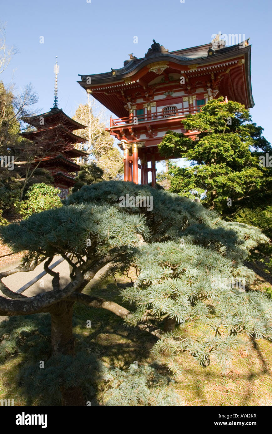 Japanese Garden Golden Gate Park Stock Photo - Alamy