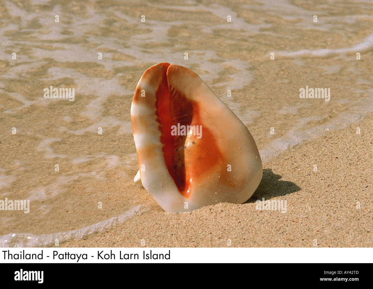 Thailand Pattaya Koh Larn Island Stock Photo - Alamy