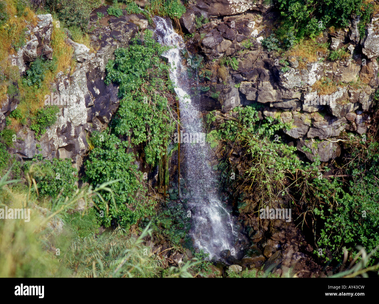 Israel Galilee Eagle waterfall at Amud Pillar stream nature reserve and ...
