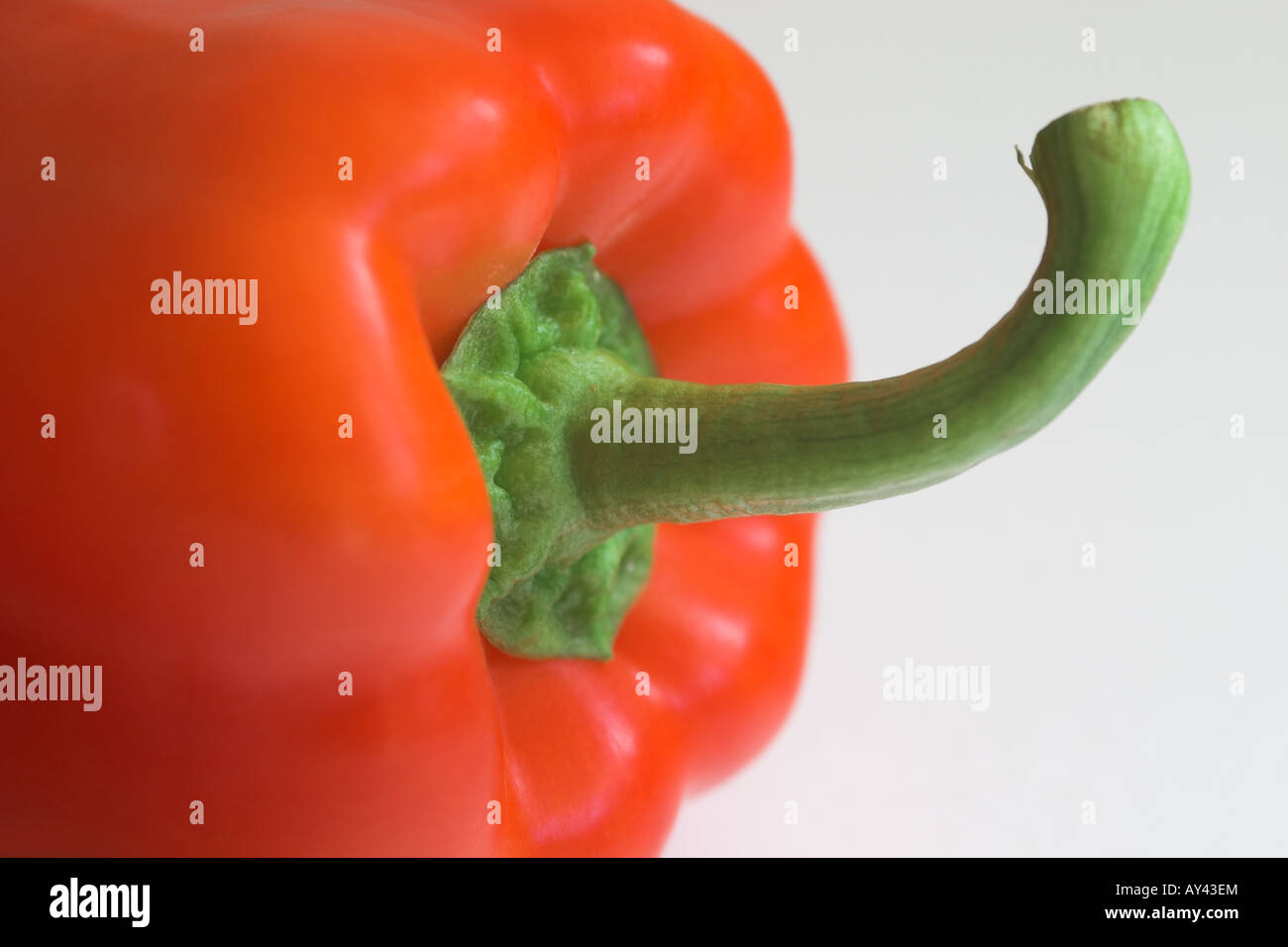 Capsicum cooking hi-res stock photography and images - Alamy