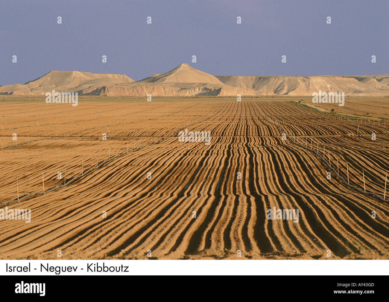 Neguev High Resolution Stock Photography and Images - Alamy
