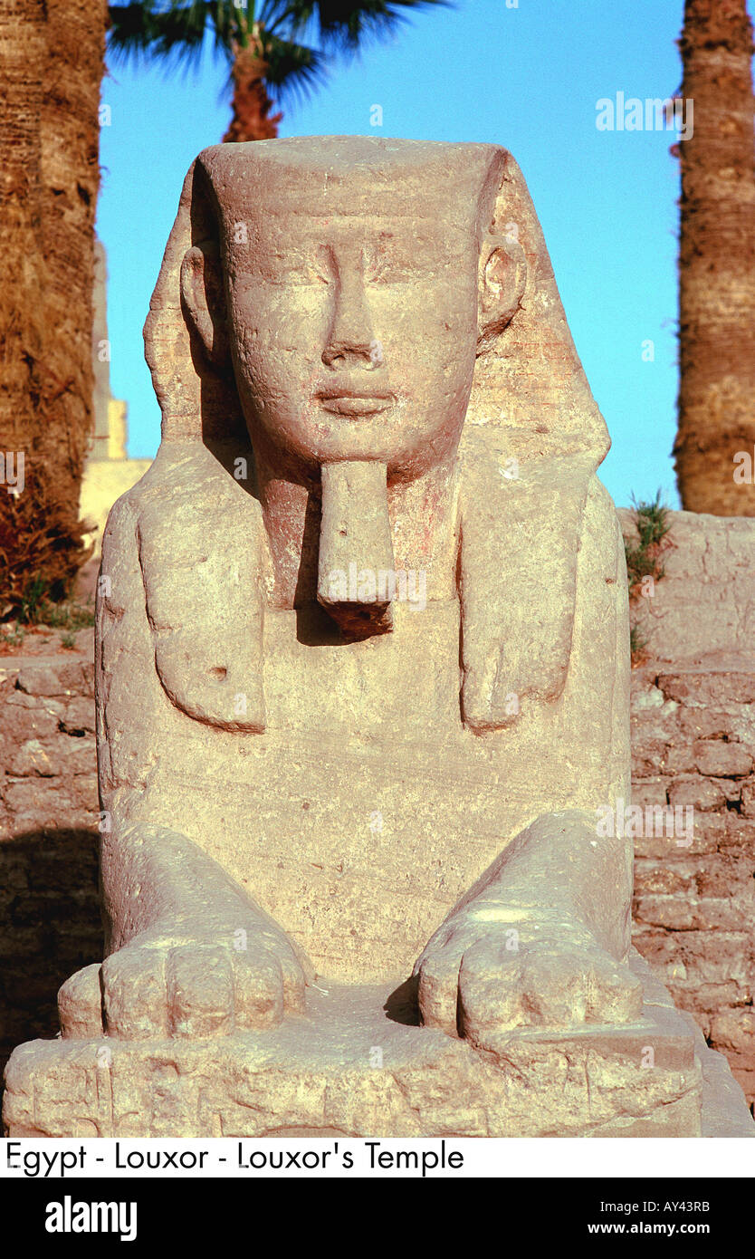 Egypt louxor temple hi-res stock photography and images - Alamy