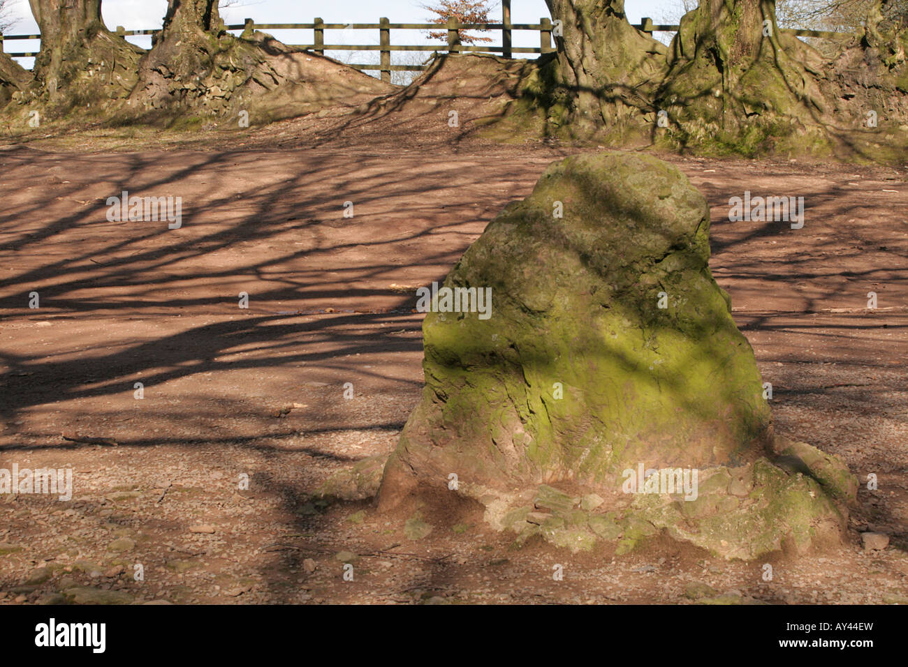 Triscombe Stone in dappled sunlight Stock Photo - Alamy