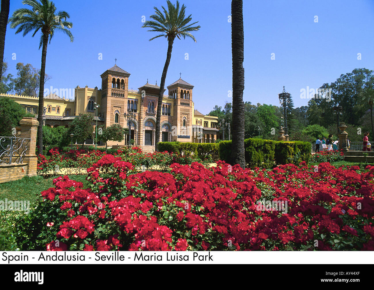 Maria luisa garden hi-res stock photography and images - Alamy