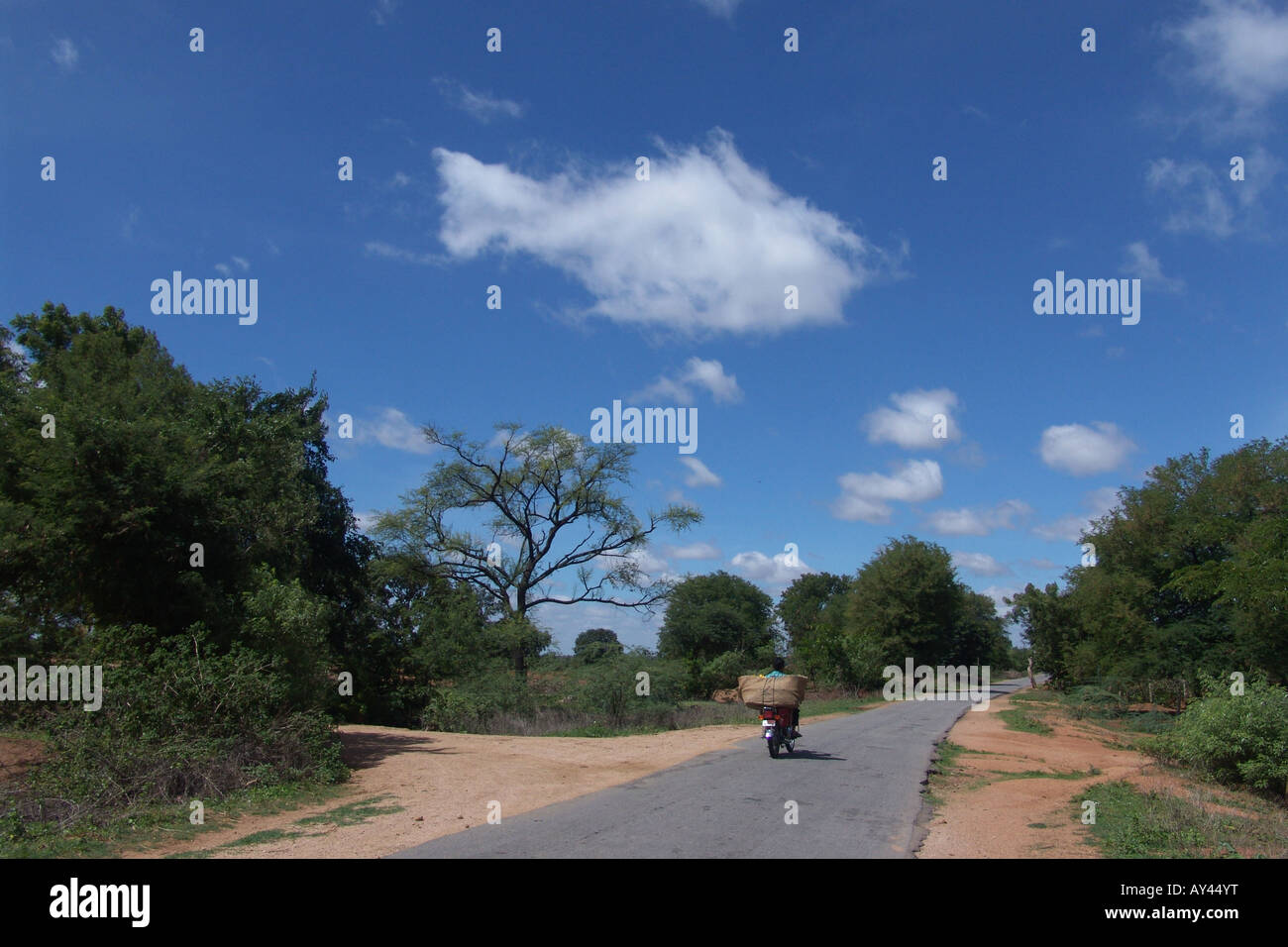 A view in Medak district, Andhra Pradesh Stock Photo - Alamy