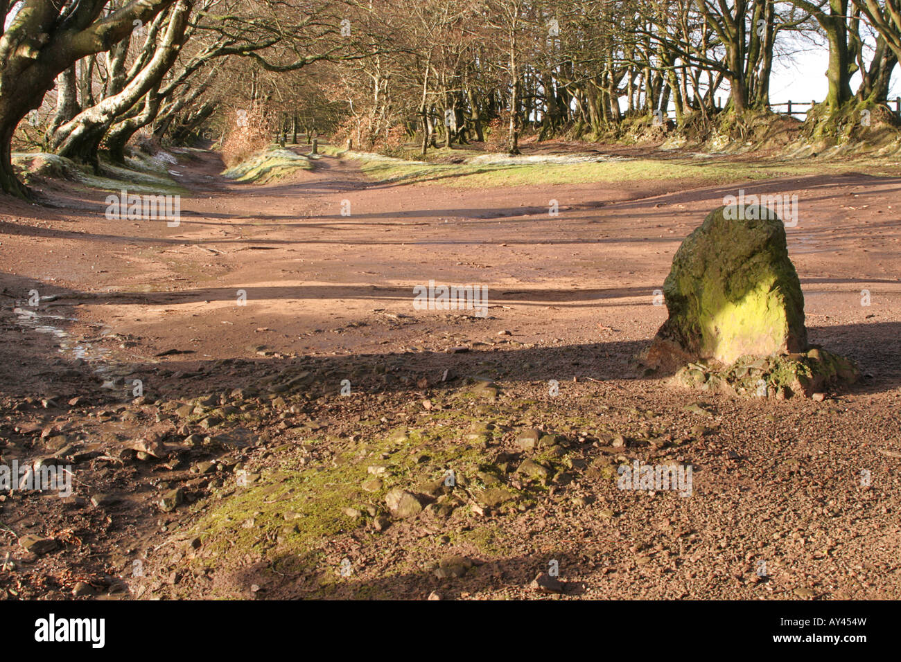 Triscombe Stone in the Quantock Hills Stock Photo - Alamy