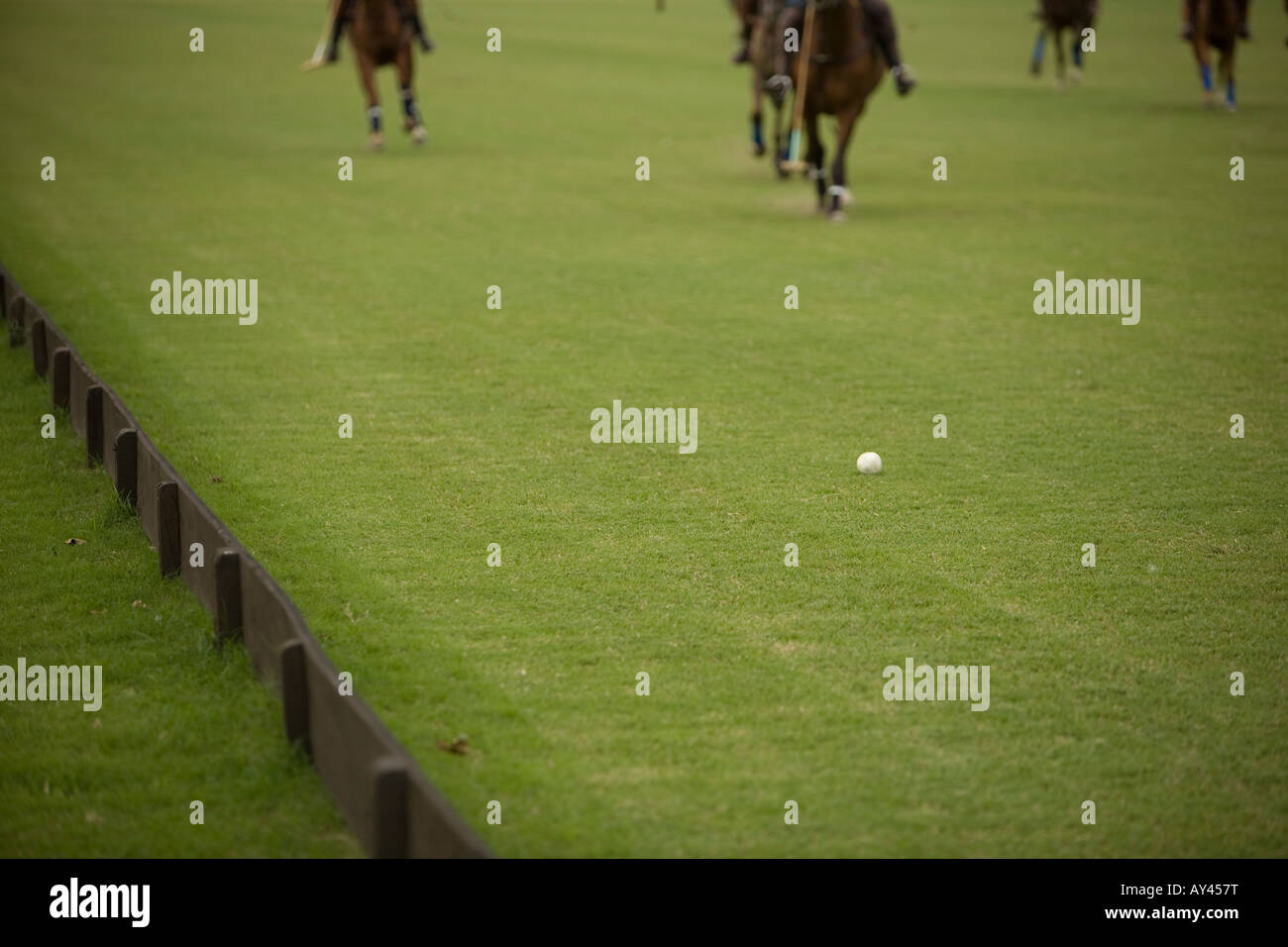 Polo pitch hi-res stock photography and images - Alamy