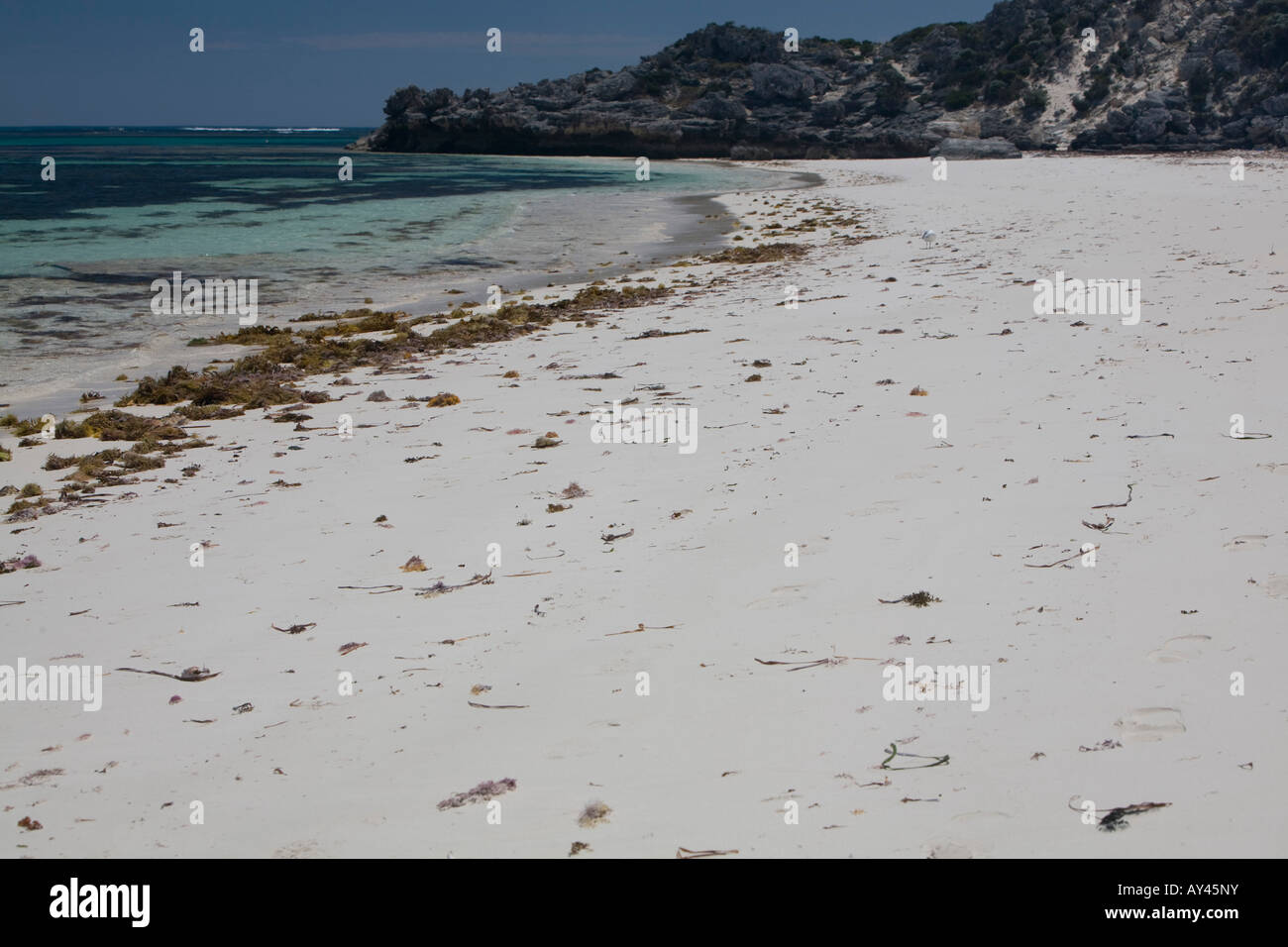 beach at stark bay on rottnest island,western australia Stock Photo - Alamy