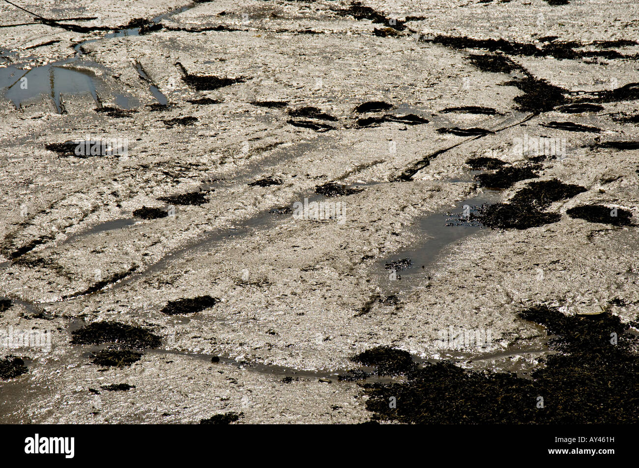 Mudflats with abstract markings Stock Photo - Alamy