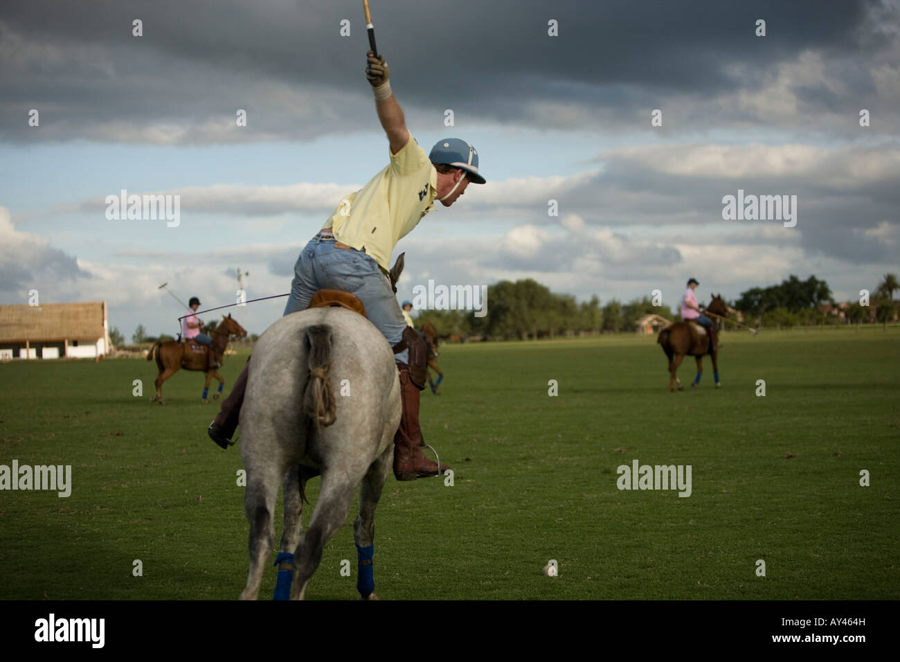 Polo player hit ball hi-res stock photography and images - Alamy
