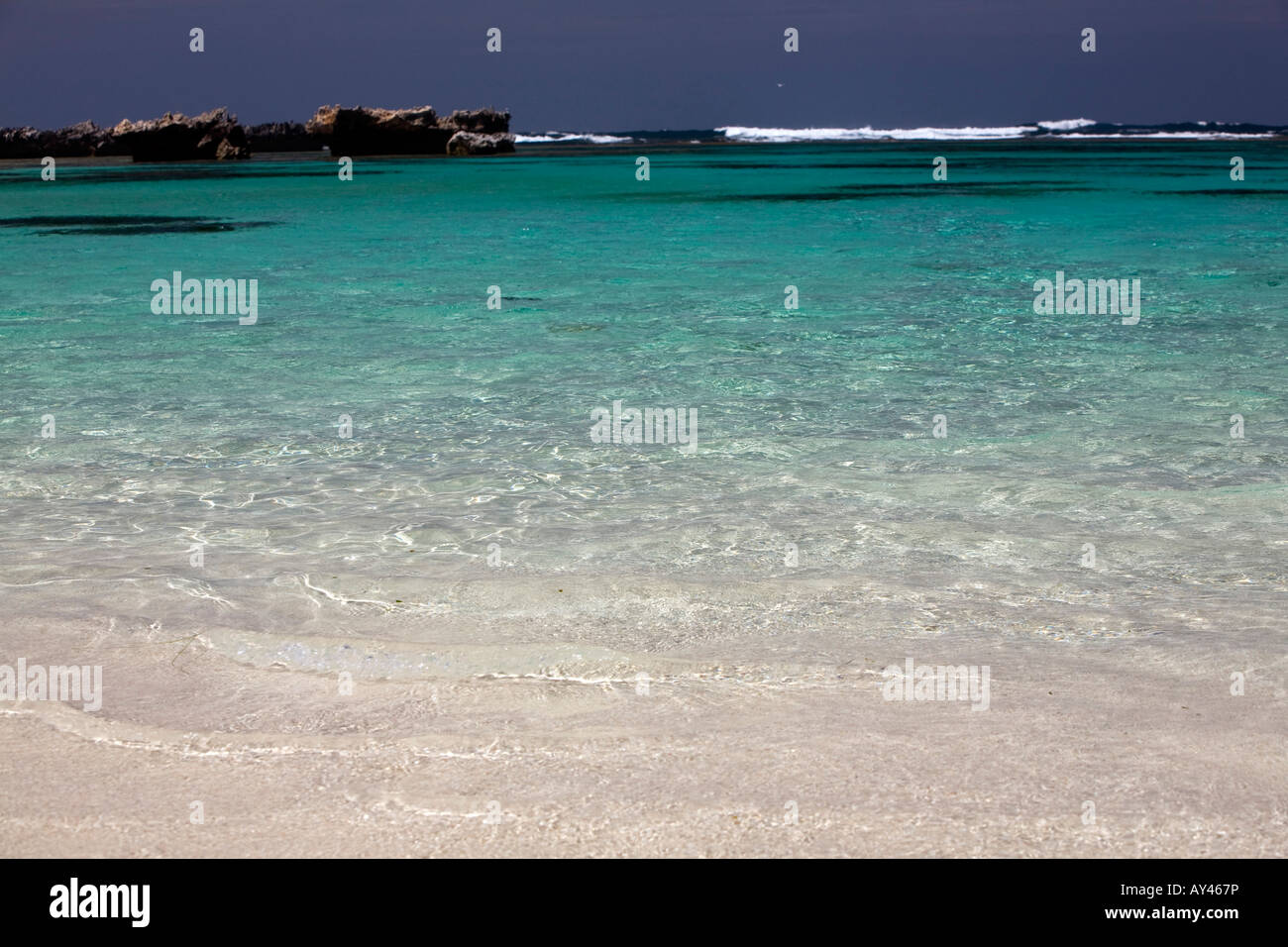 Salmon bay Rottnest island Western Australia Stock Photo - Alamy