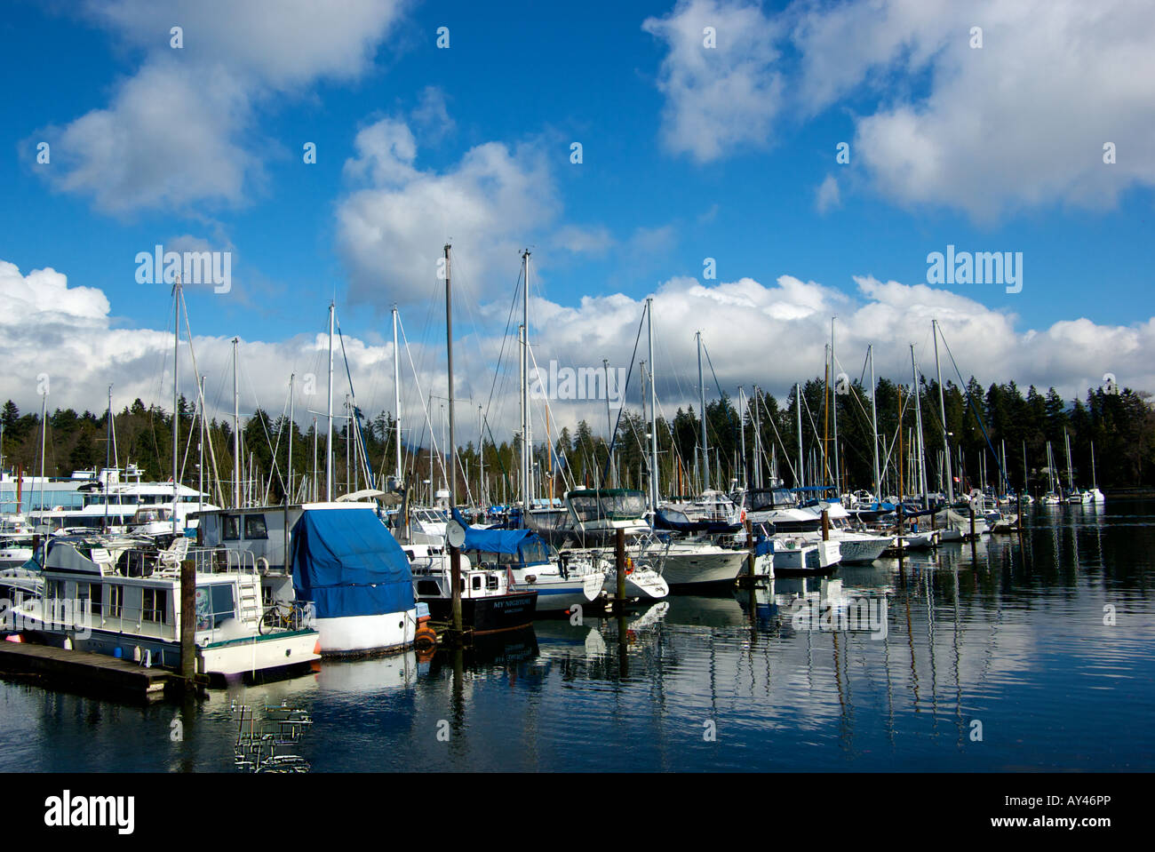 Yachts in the Bayshore Marina in the West End of Vancouver Canada Stock ...