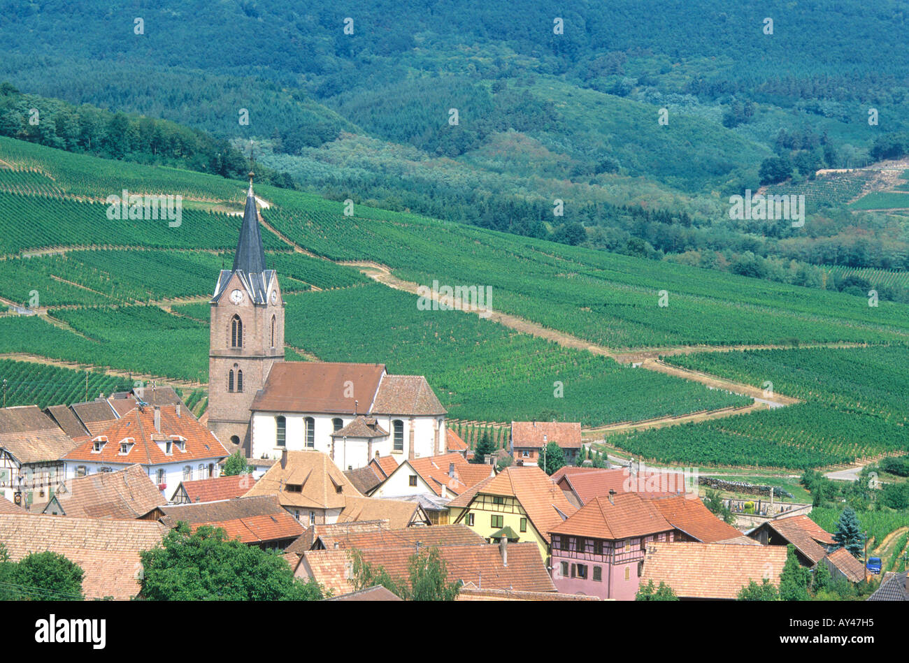 France Alsace Route des vins Rodem Stock Photo - Alamy