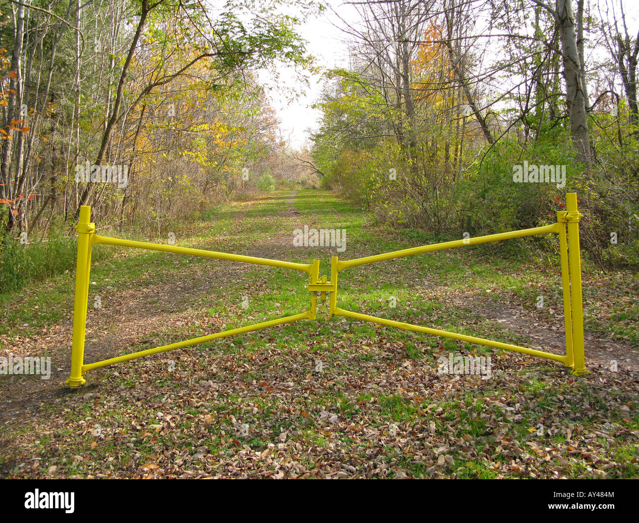 Swing gate at nature park Stock Photo - Alamy