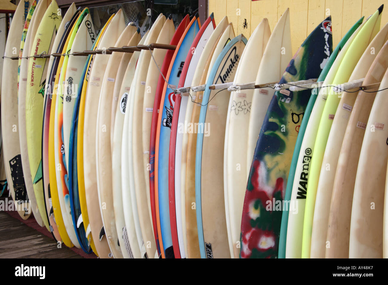 Line of surfboards hi-res stock photography and images - Alamy
