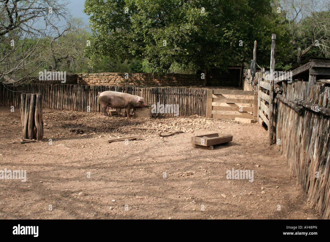 Hog yard on historic farm LBJ ranch Johnson City Texas Stock Photo - Alamy