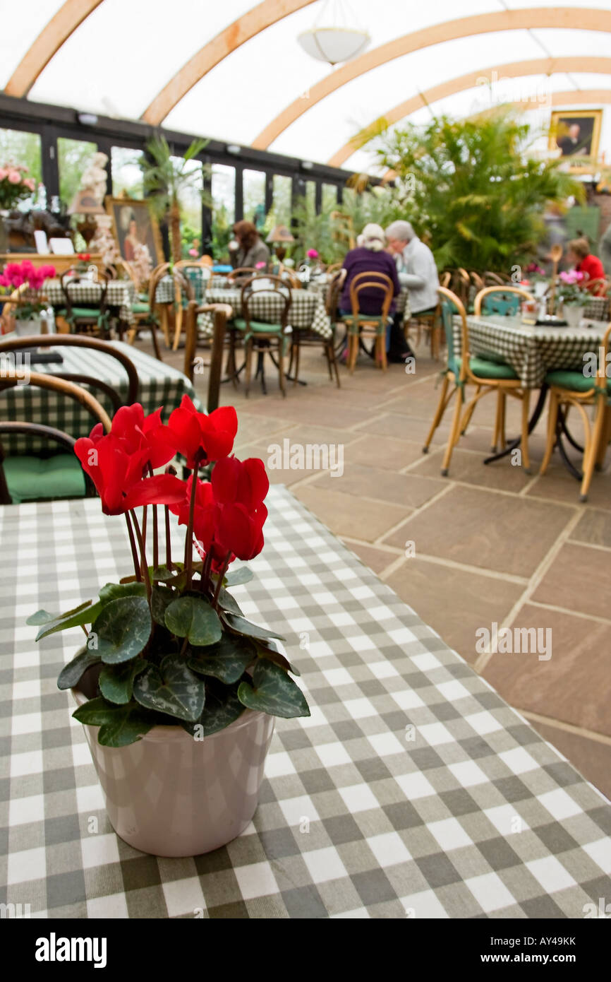 English cafe interior hi-res stock photography and images - Alamy