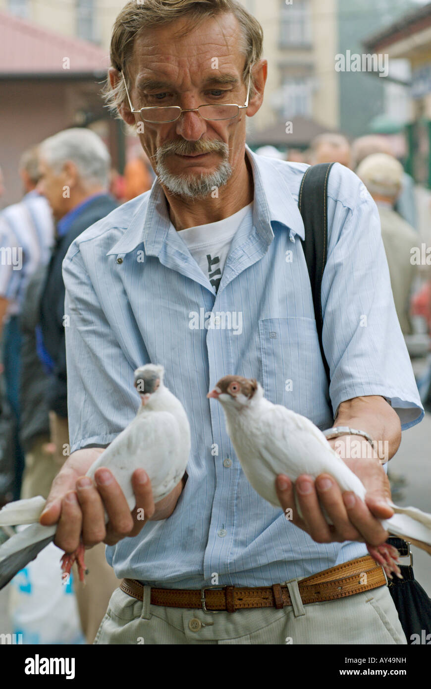 Man racing pigeon hi-res stock photography and images - Alamy
