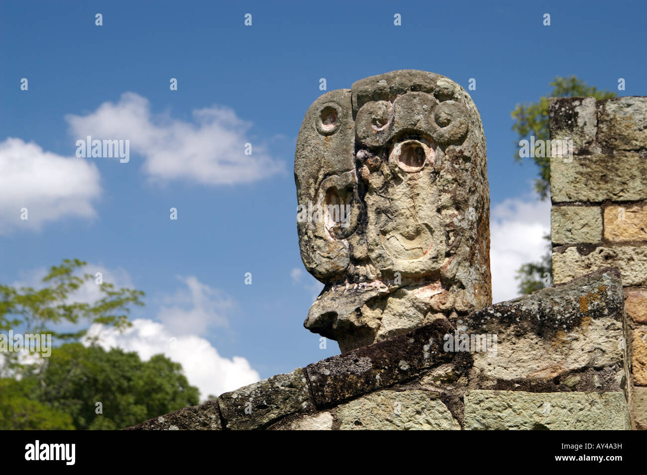 carving detail Mayan pyramid Copan Honduras UNESCO World Heritage Site ...