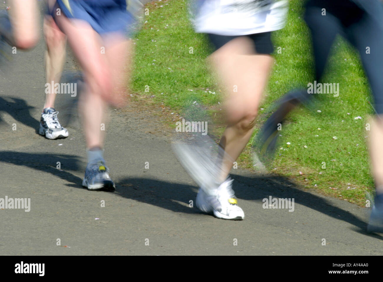 Women runners competing in road race Stock Photo - Alamy