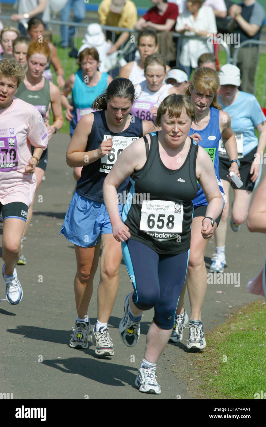 Women runners competing in road race Stock Photo - Alamy