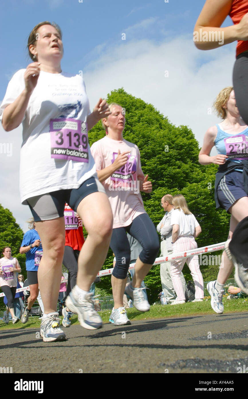 Women runners competing in road race Stock Photo - Alamy