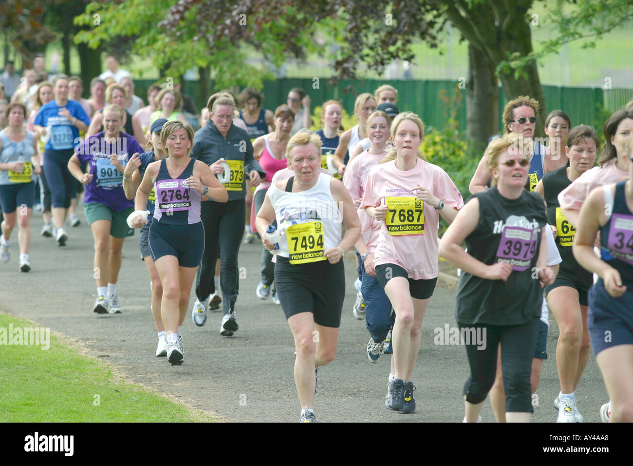 Women runners competing in road race Stock Photo - Alamy