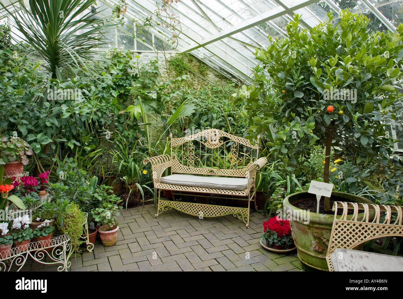 Traditional conservatory hi-res stock photography and images - Alamy