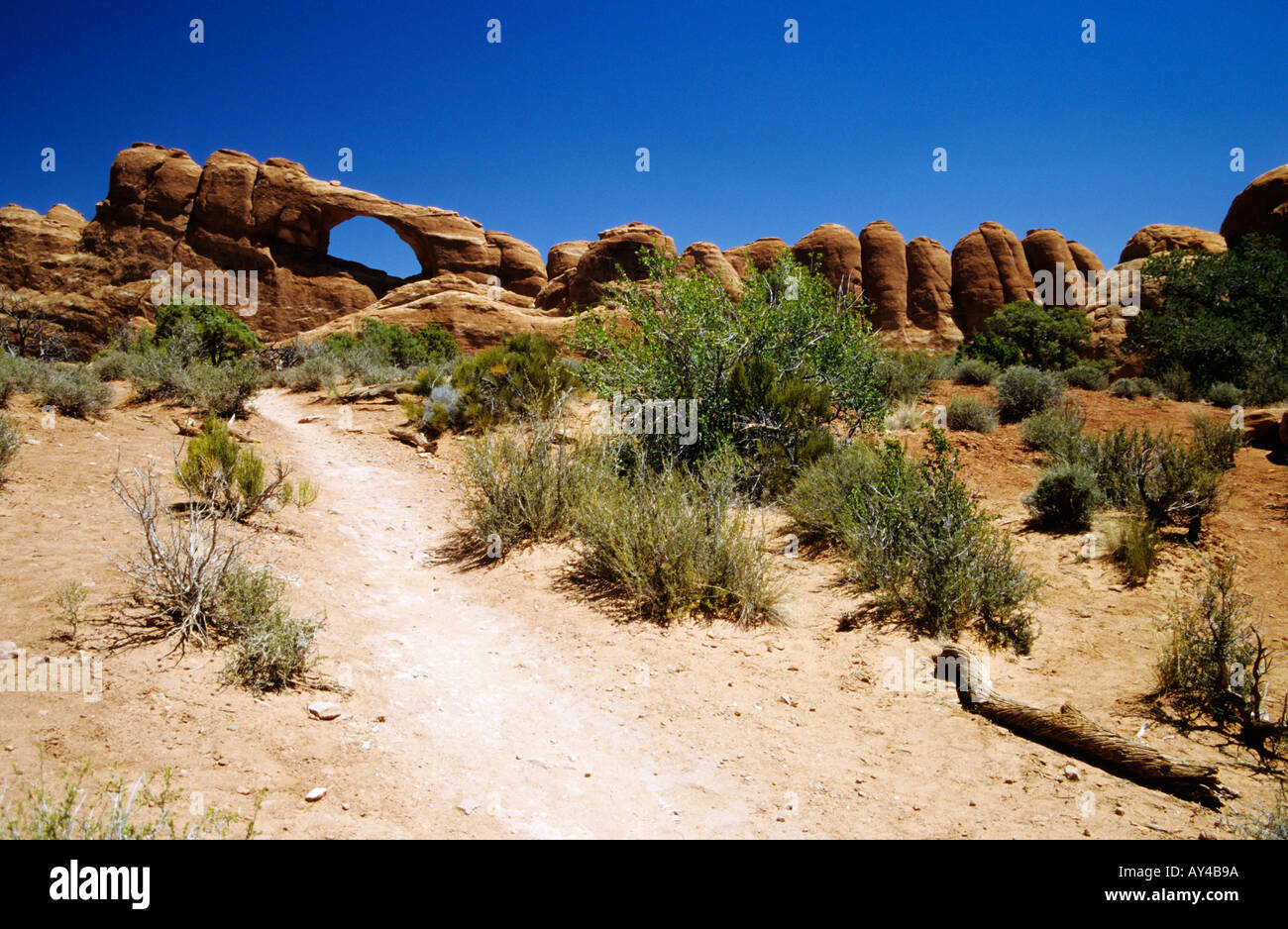Nature Trail in Arches National Park, Utah, USA Stock Photo - Alamy