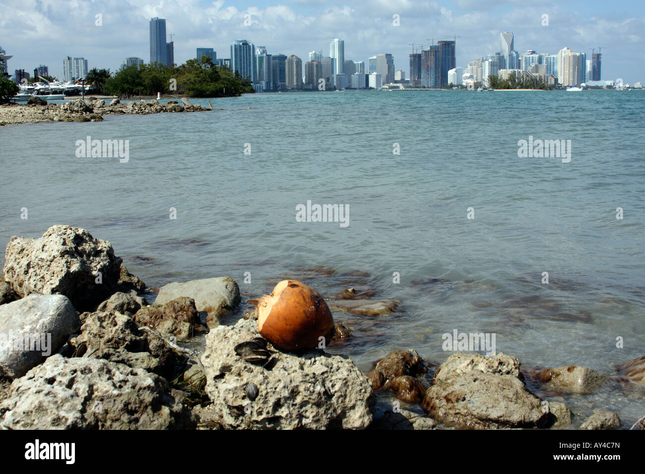 View of Miami downtown skyscrapers from key Biscayne Stock Photo - Alamy