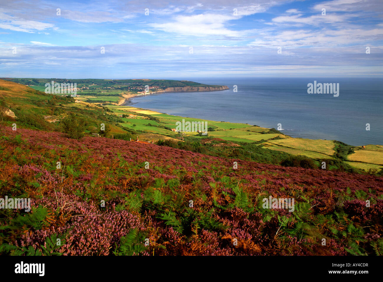 Robin Hoods Bay from Ravenscar North Yorks Moors North Yorkshire ...