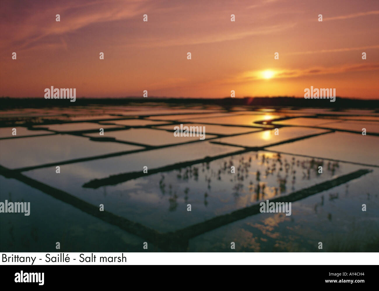 Brittany Saillé Salt marsh Stock Photo - Alamy