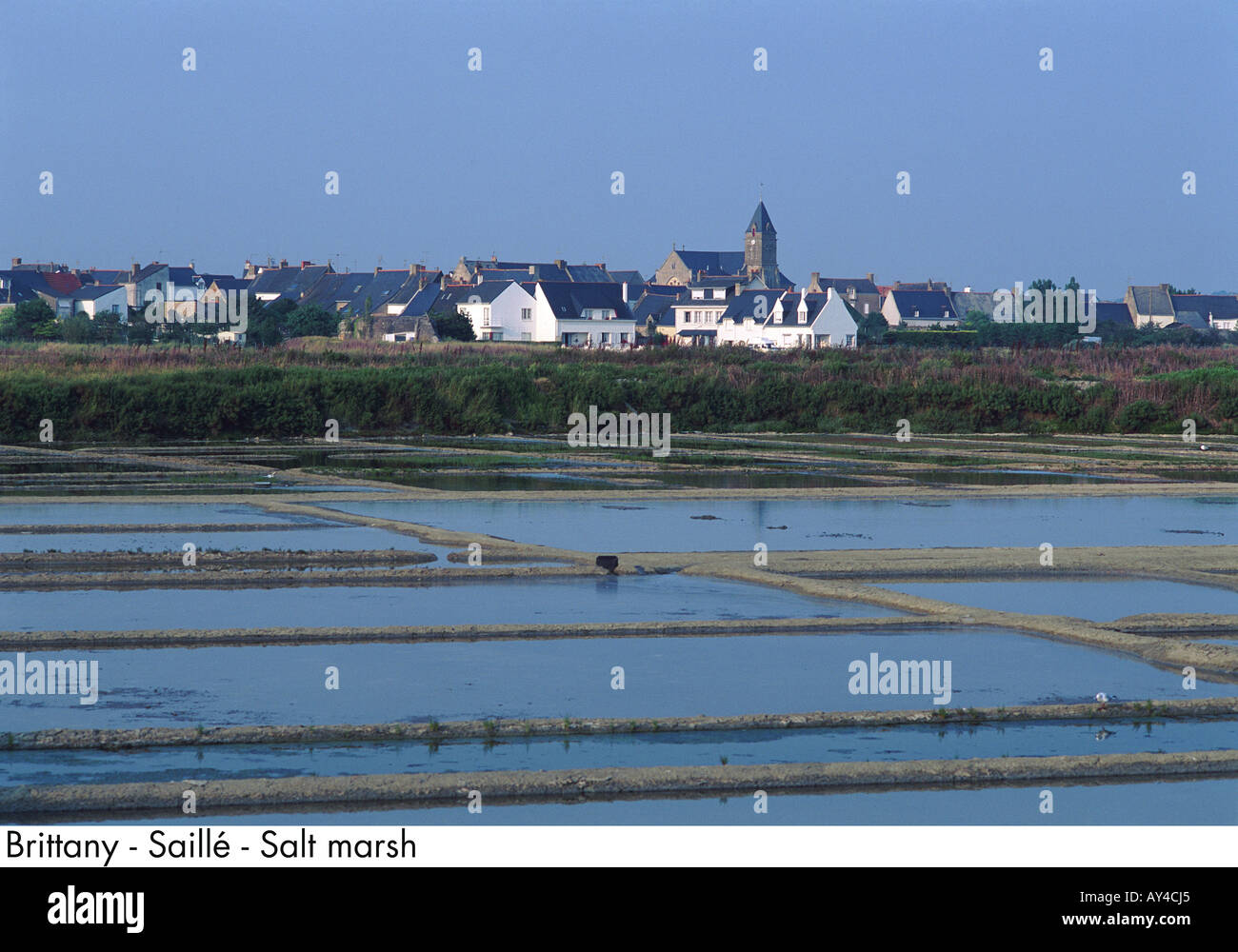 Saille hi-res stock photography and images - Alamy