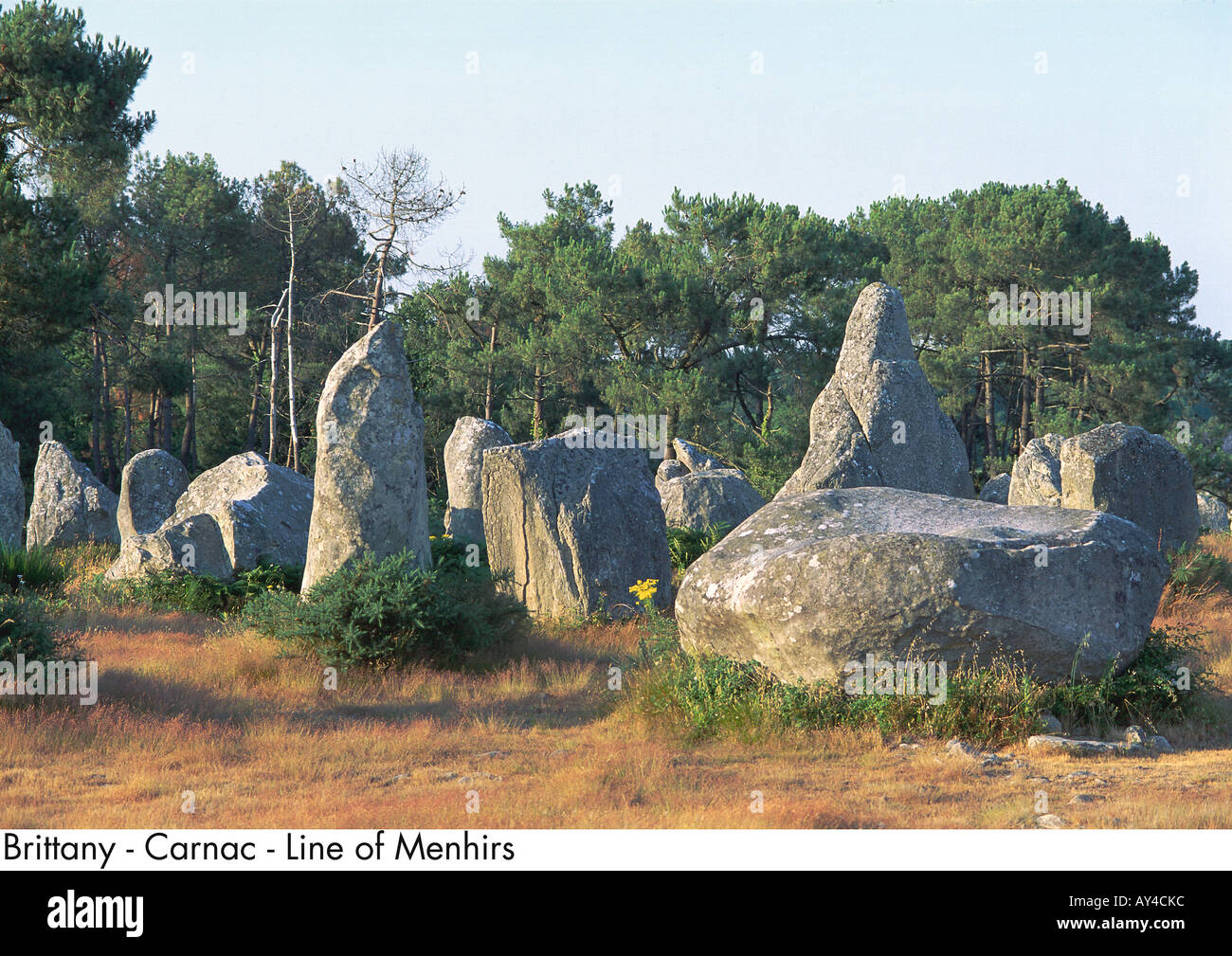 Brittany Carnac Line of Menhirs Stock Photo - Alamy