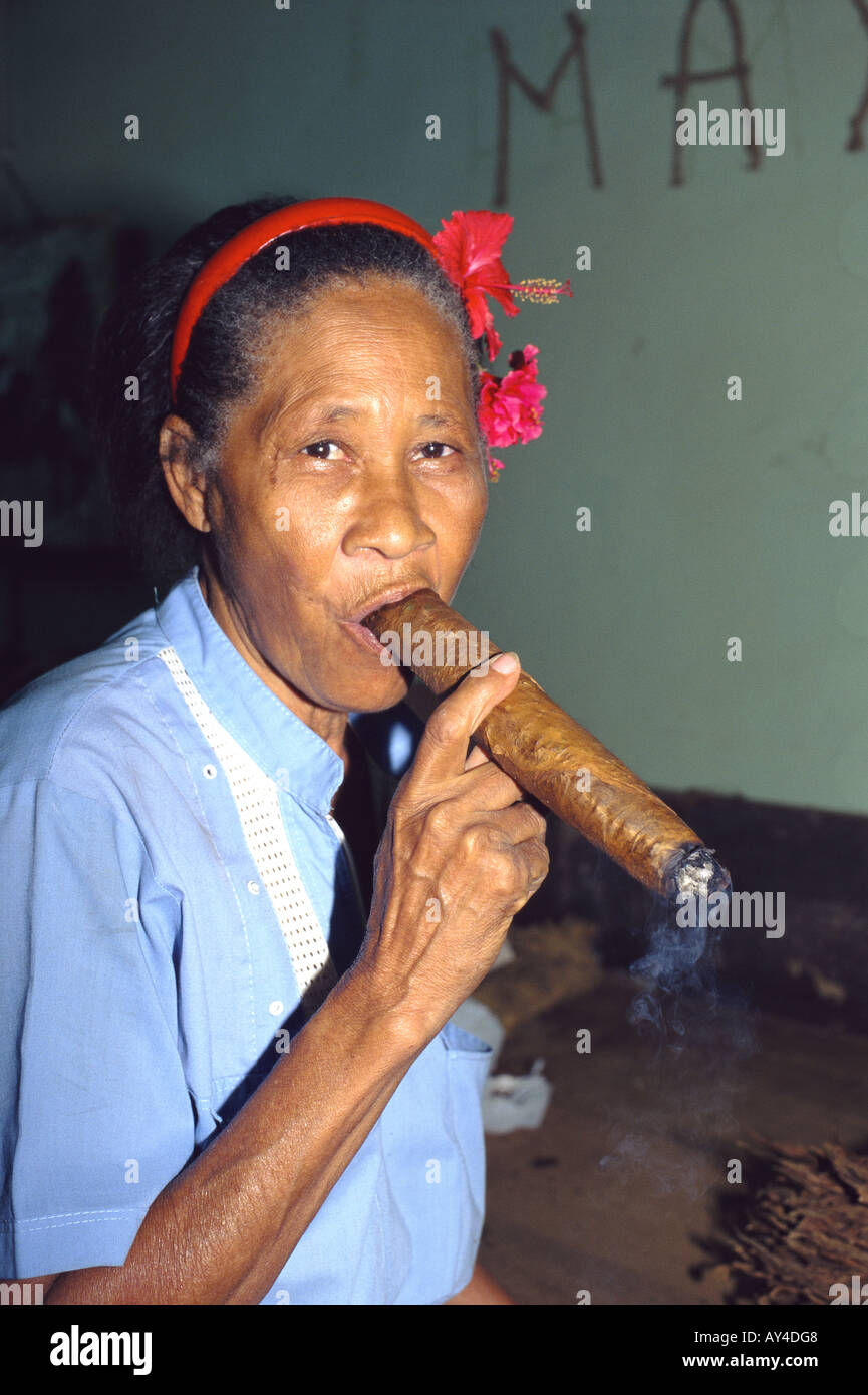Caribbean Cuba Havana Partagas factory Stock Photo - Alamy