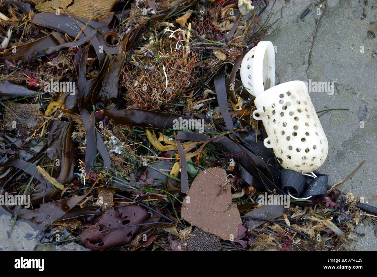 Trash washed up on the central Oregon coast including a bait container ...
