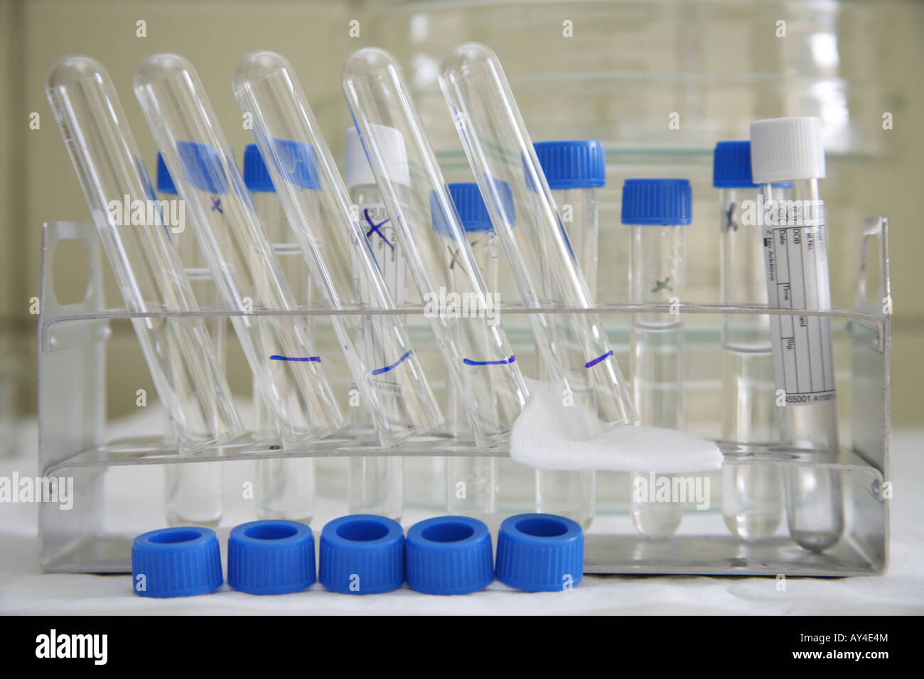 Glass lab tubes Stock Photo - Alamy