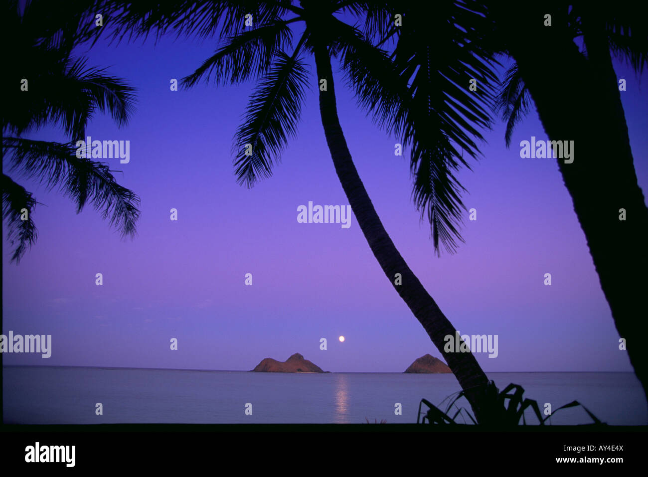 Hawaii Moonrise Moon High Resolution Stock Photography and Images - Alamy