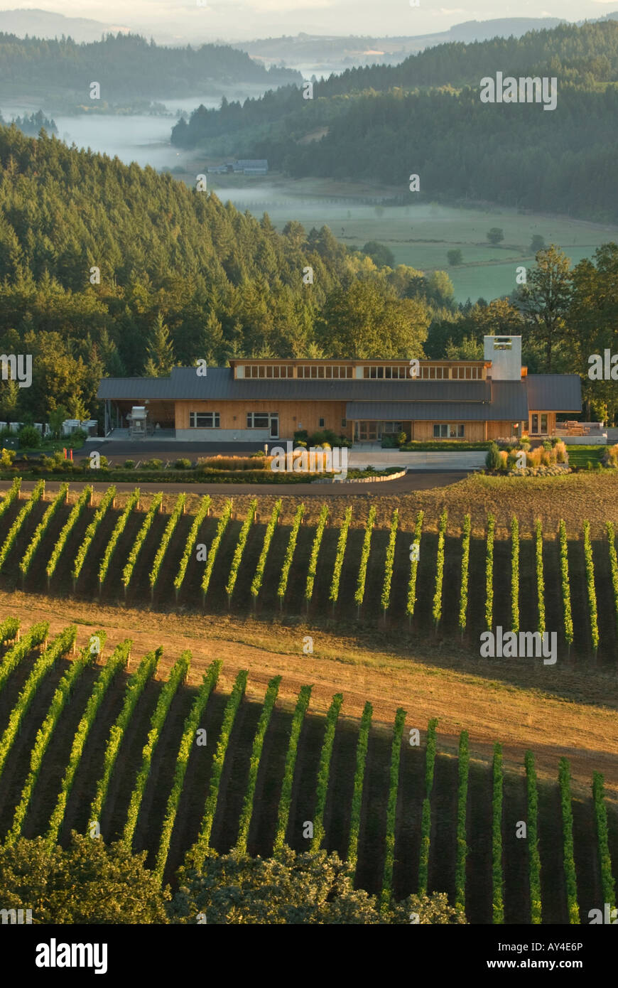Aerial view of Penner Ash Winery and estate vineyards Yamhill AVA ...