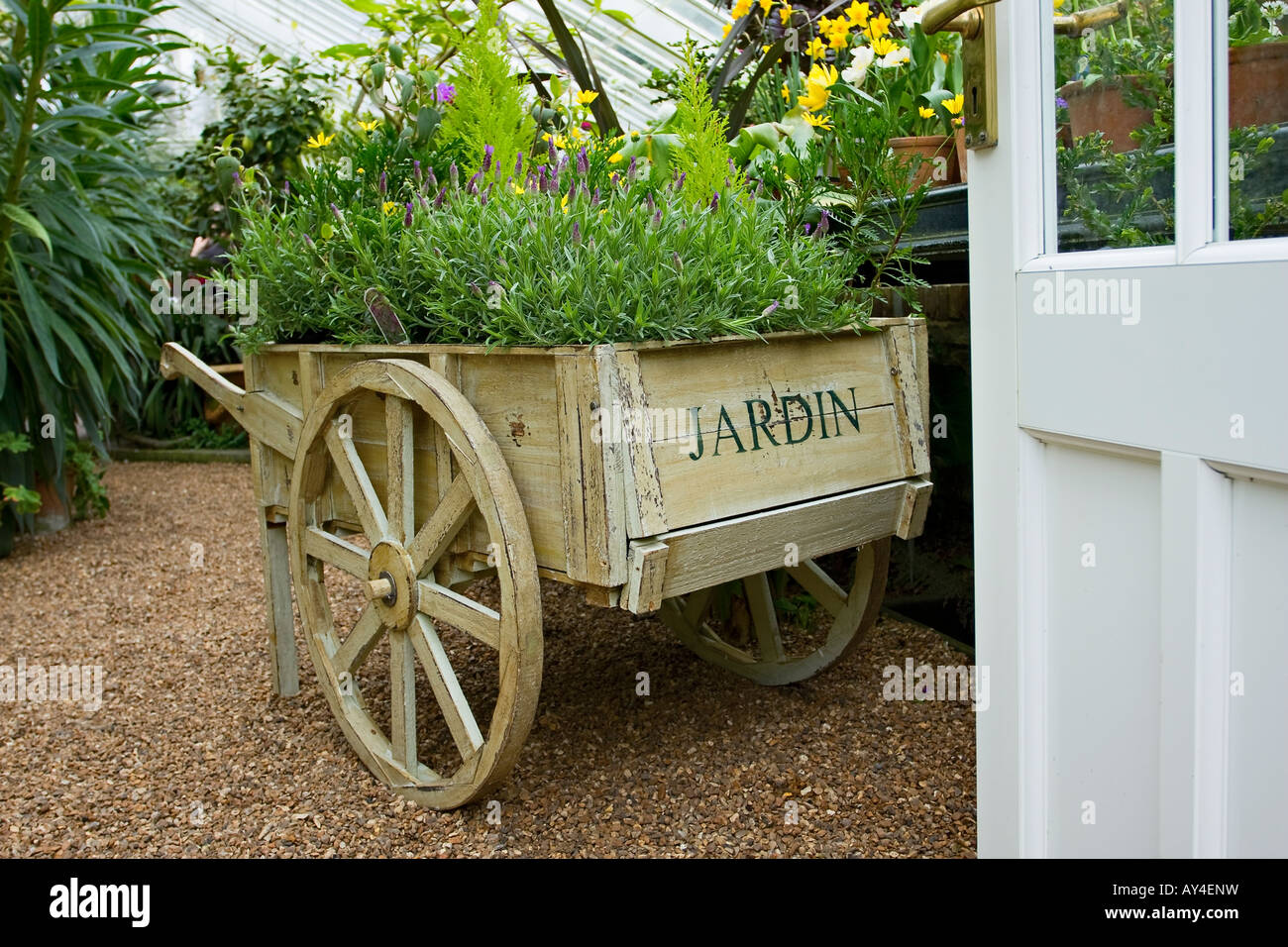Decorative wooden garden wheelbarrow in conservatory Stock Photo - Alamy
