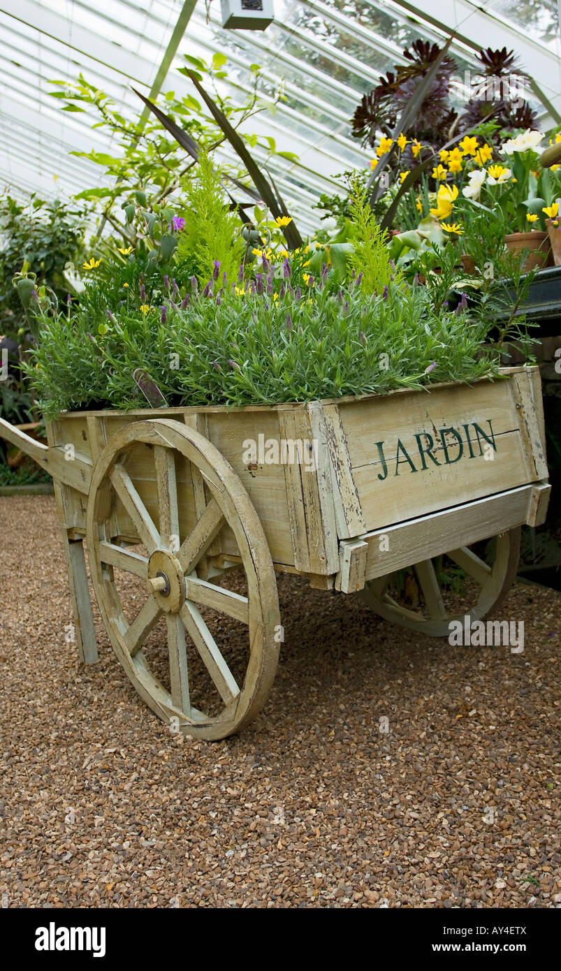 Decorative wooden garden wheelbarrow in conservatory Stock Photo - Alamy
