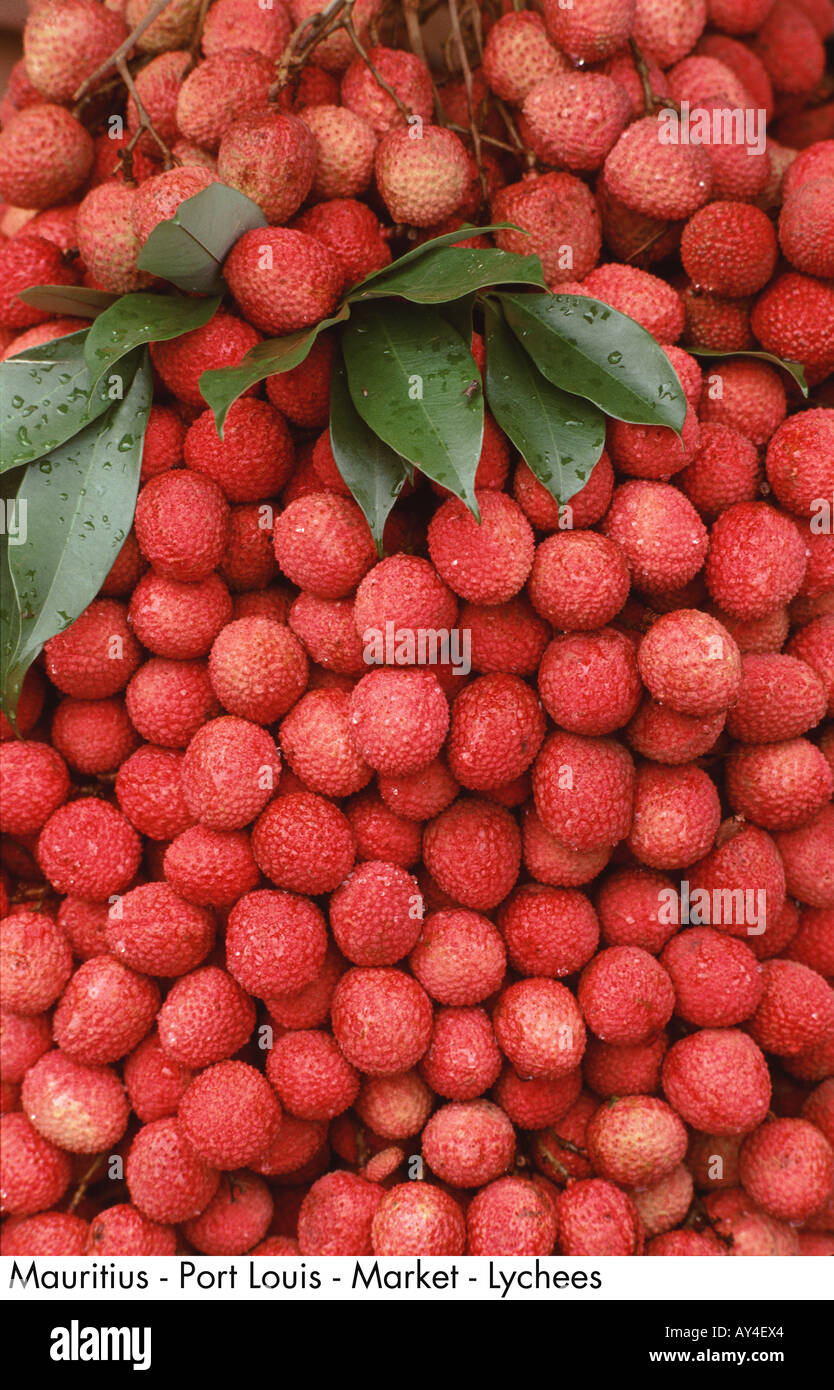 Tropical Fruit Lychee Mauritius High Resolution Stock Photography and ...