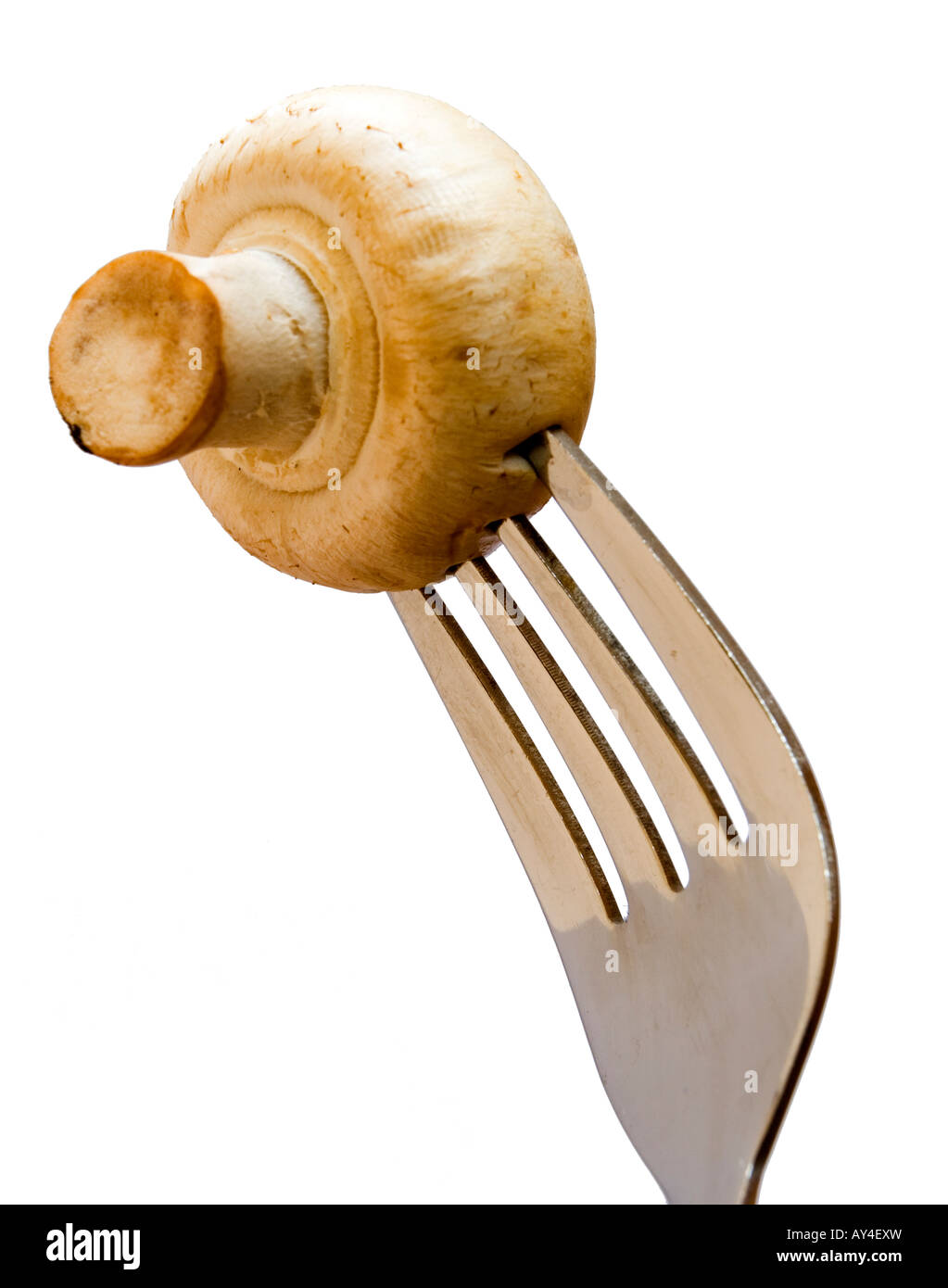 Button mushroom hi-res stock photography and images - Alamy