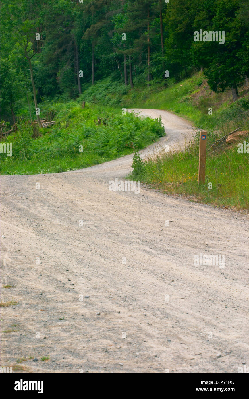 Cycle route in Wyre Forest Worcestershire Stock Photo - Alamy