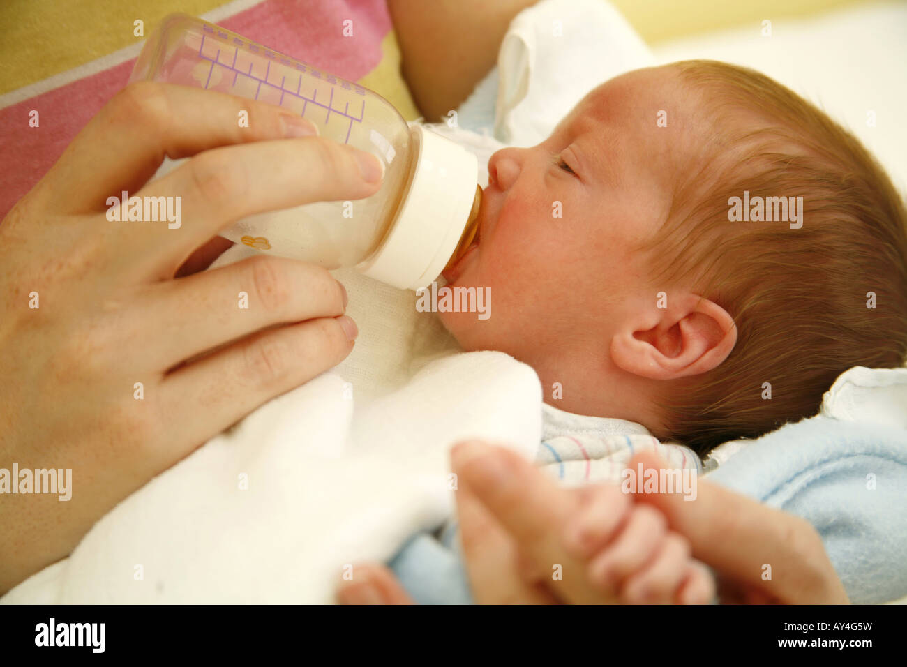 Drinking newborn baby Stock Photo - Alamy