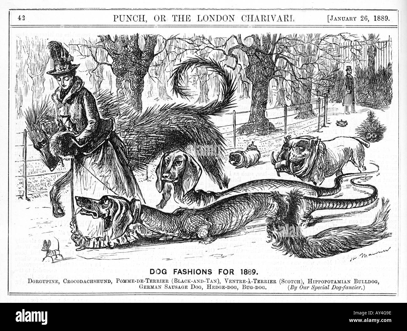 Exaggerated Dogs Cartoon Stock Photo - Alamy