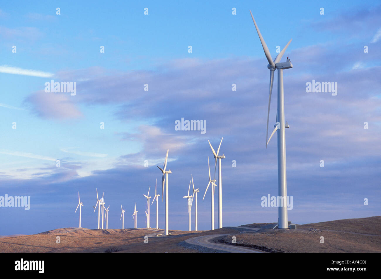 Jason wind hi-res stock photography and images - Alamy