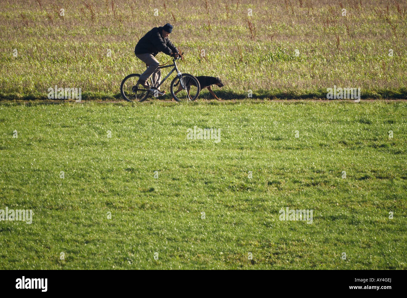 Man cycling through fields hi-res stock photography and images - Alamy